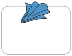 How to Apply Vinyl Decals - Evoke Decals